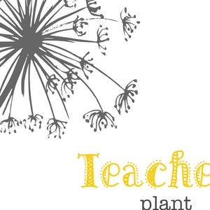 Dandelion Teacher Appreciation Class Gift, Teachers Plant the Seeds of ...