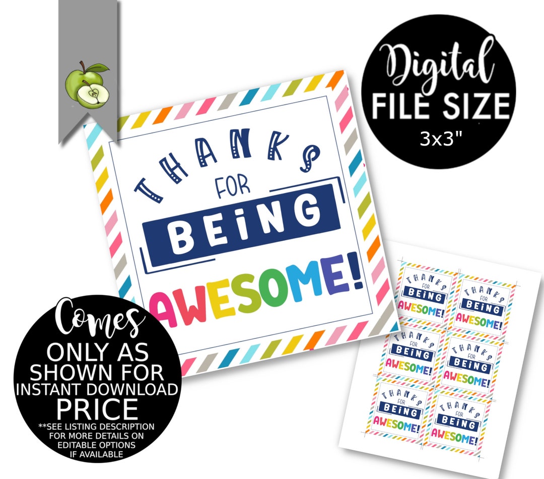 Thanks for Being Awesome Gift Tag, Volunteer Gratitude Gift, Boss ...