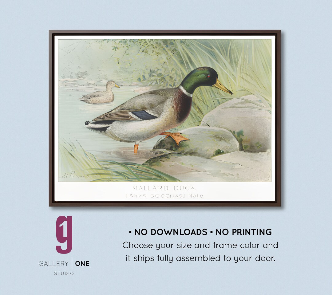 Vintage Mallard Duck Wall Art for Log Cabin Decor, Modern Cabin Artwork ...