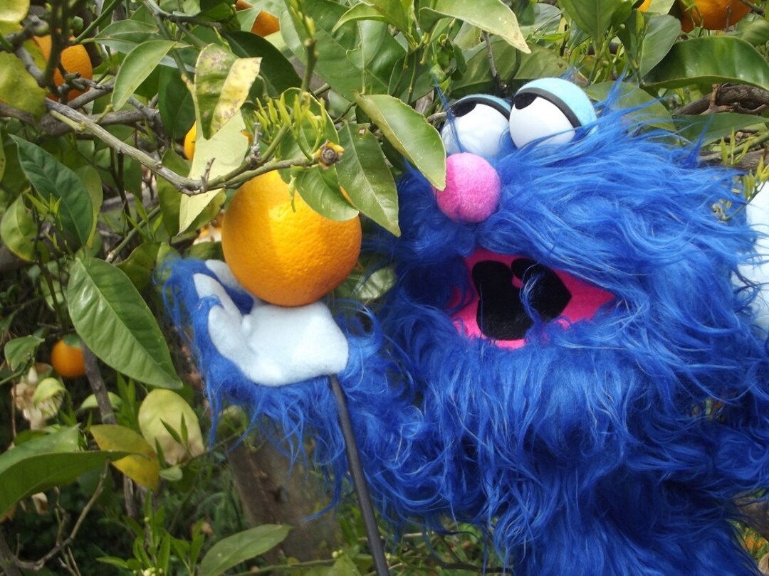 Titere Azul De Mano Medio Con Varillas, Fur Fabric Piel Profesional - Etsy