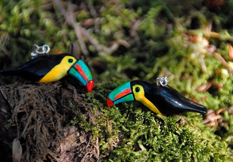 Birds Earrings - Toucan Bird - Tropical Fashion - Keel-billed Toucan ...