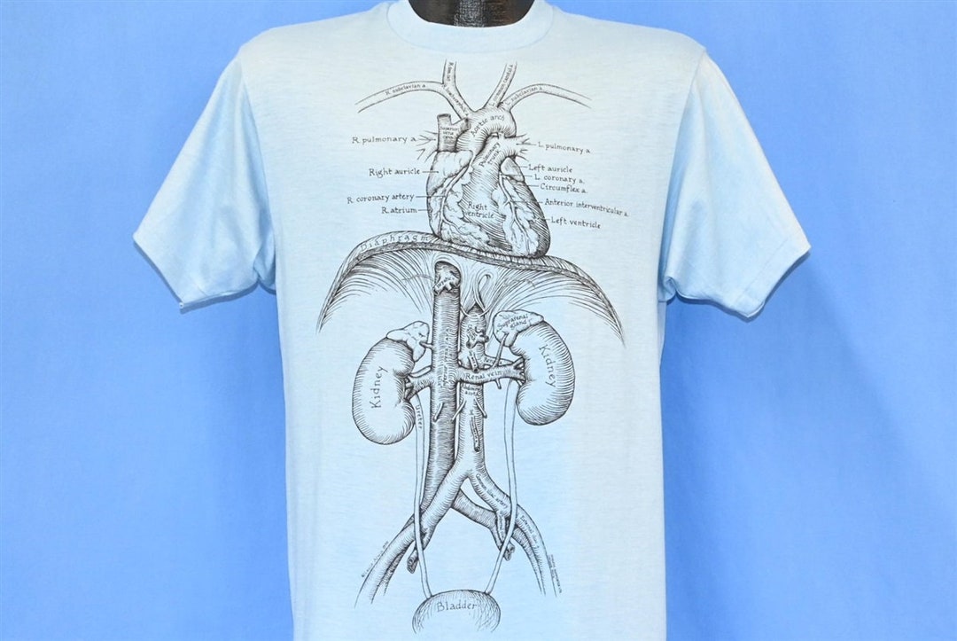 80s Anatomical Heart Urinary System Leslie Arwin Skeletees Anatomy T-shirt Medium - Etsy