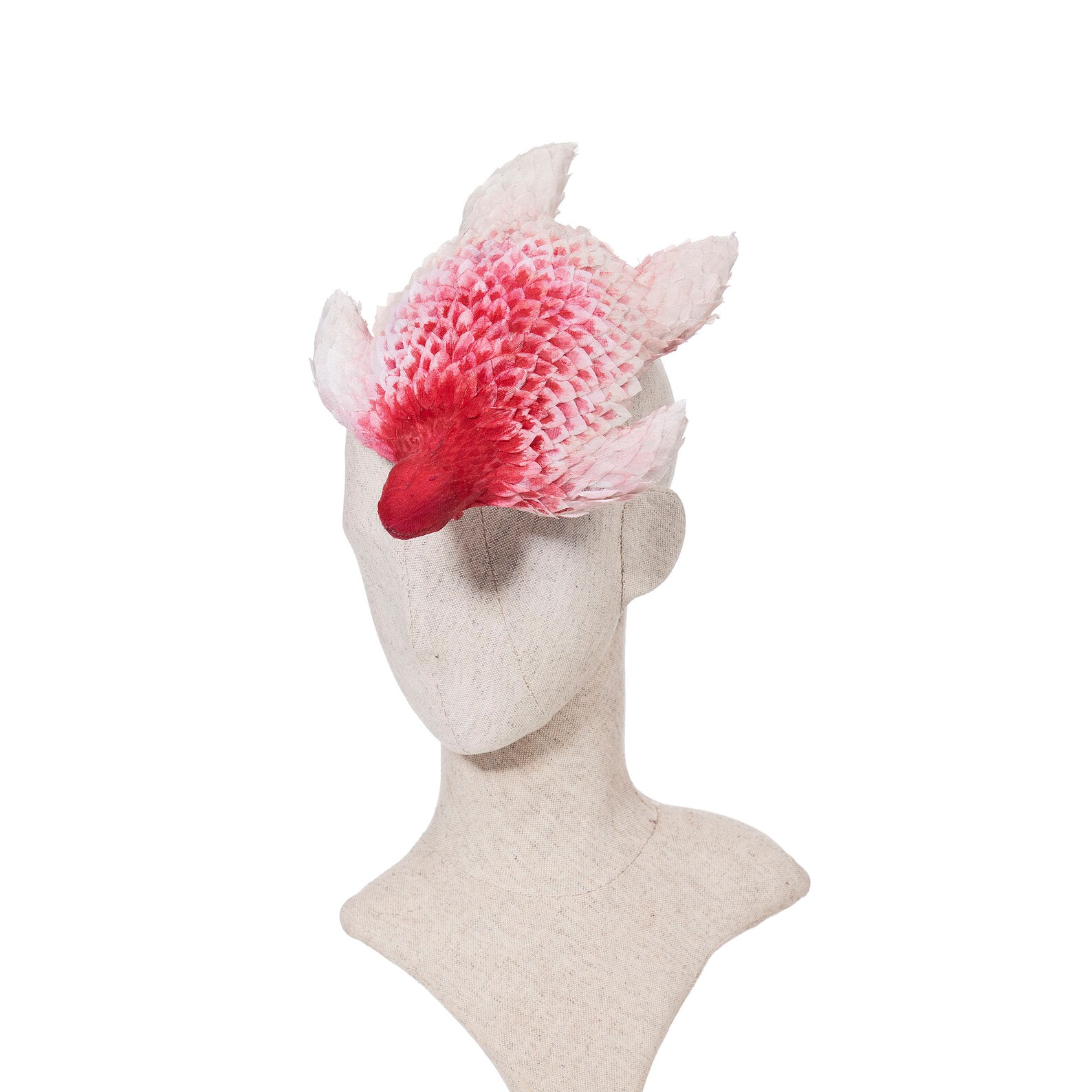 Turtle Fascinator, Tortoise Headpiece, Silk Red and White Turtle ...