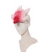 Turtle Fascinator, Tortoise Headpiece, Silk Red and White Turtle ...