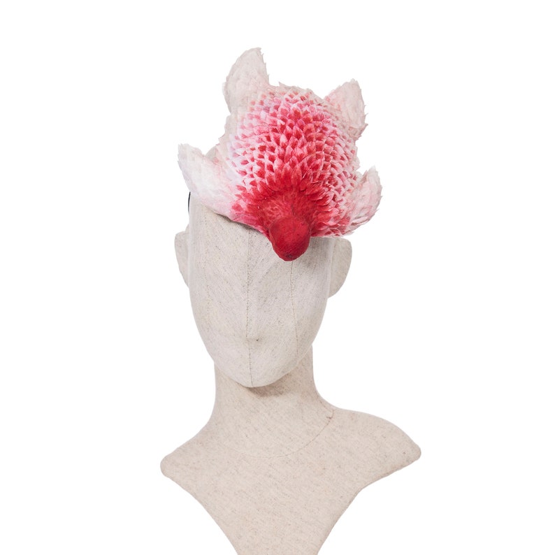 Turtle Fascinator, Tortoise Headpiece, Silk Red and White Turtle ...