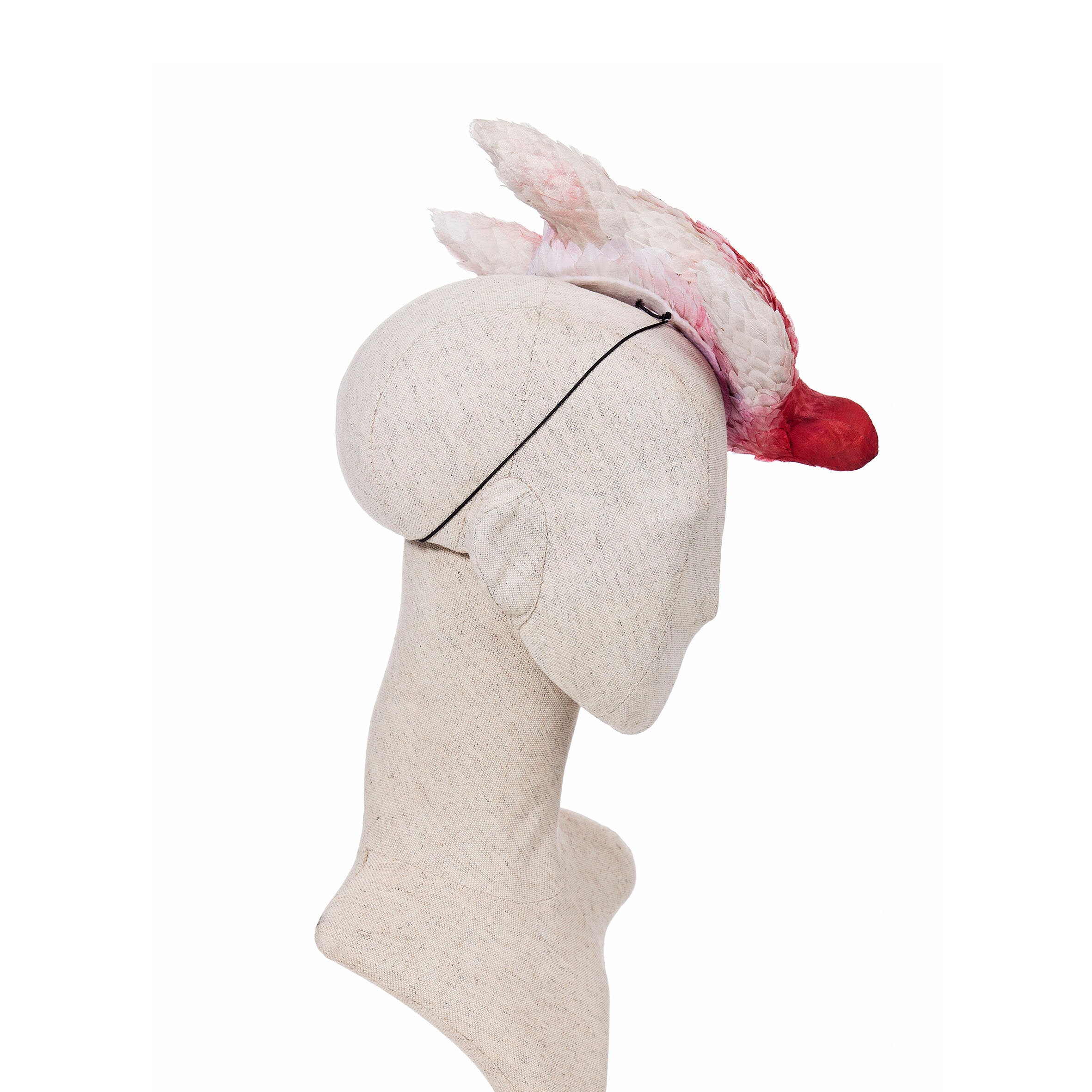 Turtle Fascinator, Tortoise Headpiece, Silk Red and White Turtle ...