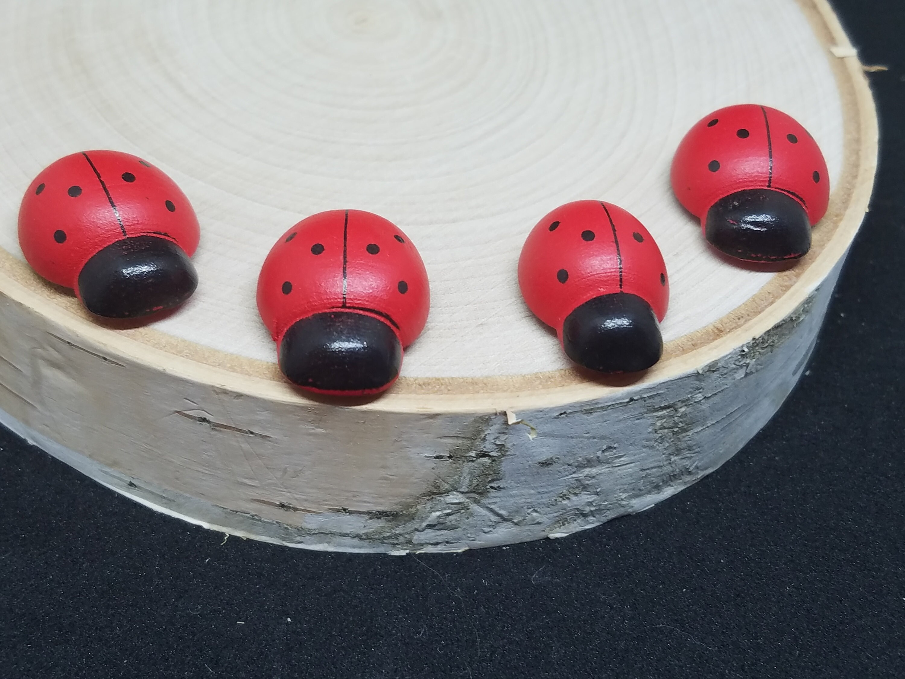 Lady Bug Wooden Magnets, Ladybug Magnet,Wood Magnet Set,Ladybug Magnet ...
