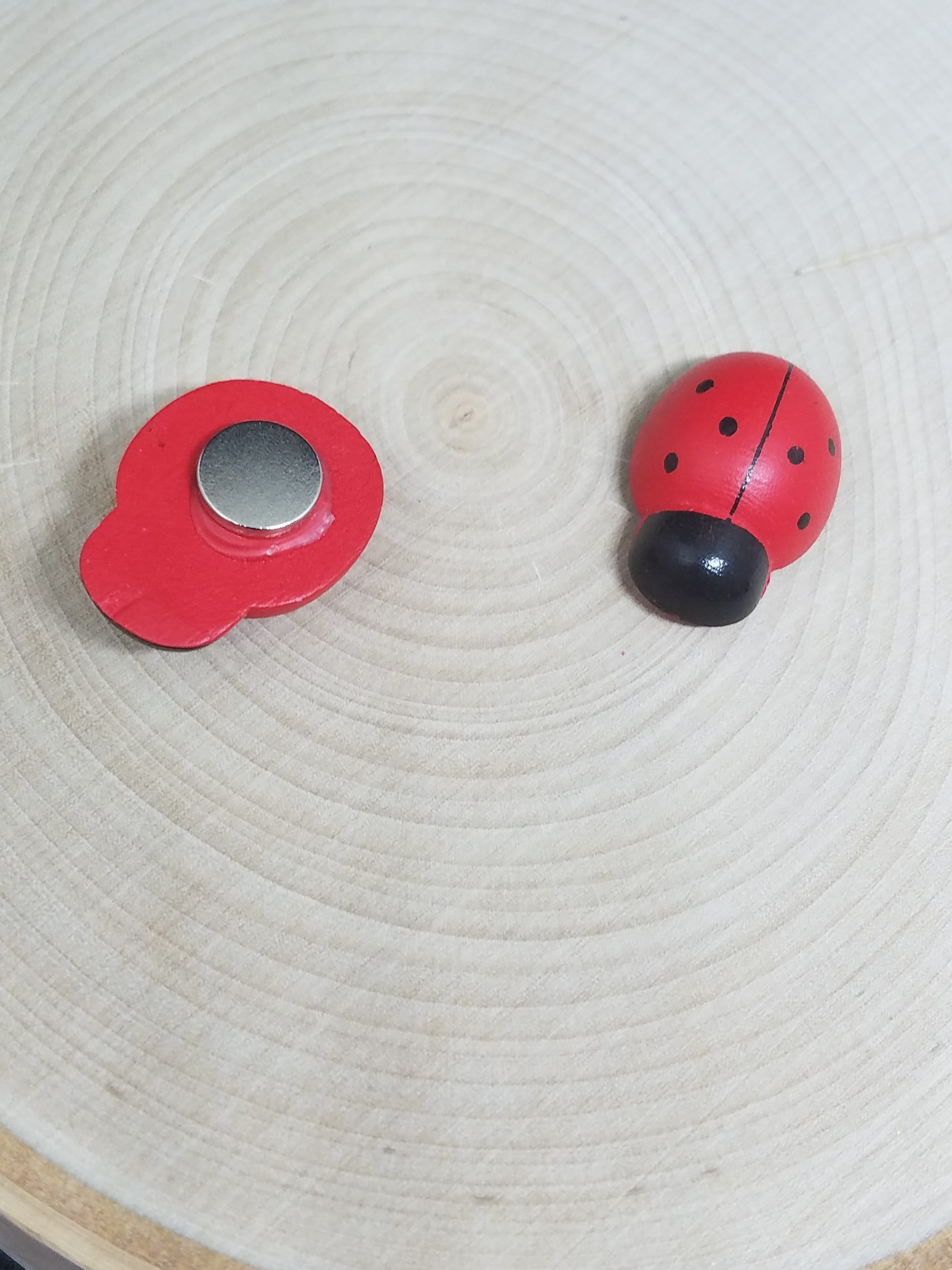 Lady Bug Wooden Magnets, Ladybug Magnet,Wood Magnet Set,Ladybug Magnet ...