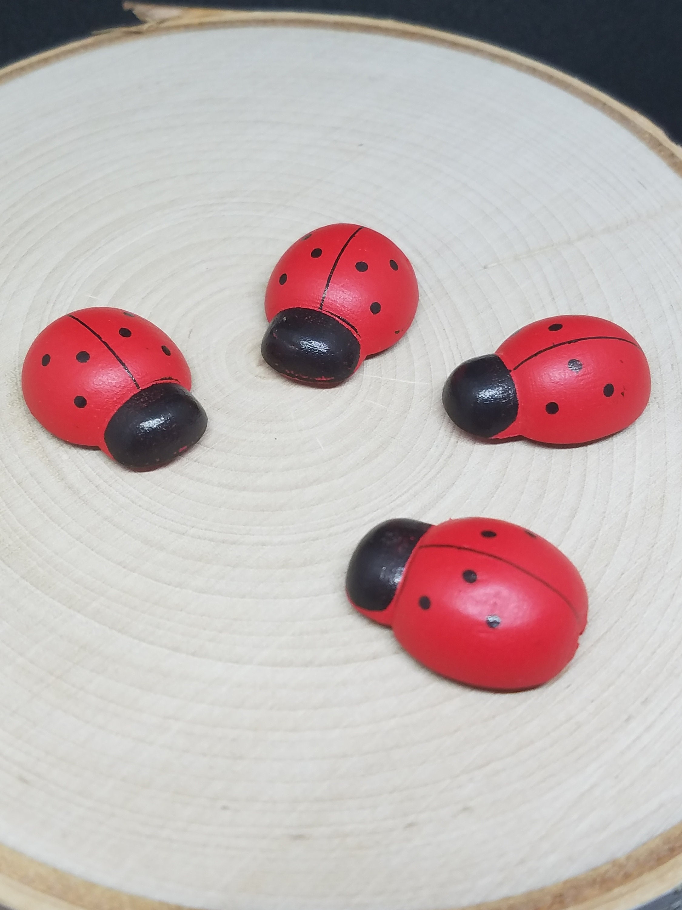 Lady Bug Wooden Magnets, Ladybug Magnet,Wood Magnet Set,Ladybug Magnet ...