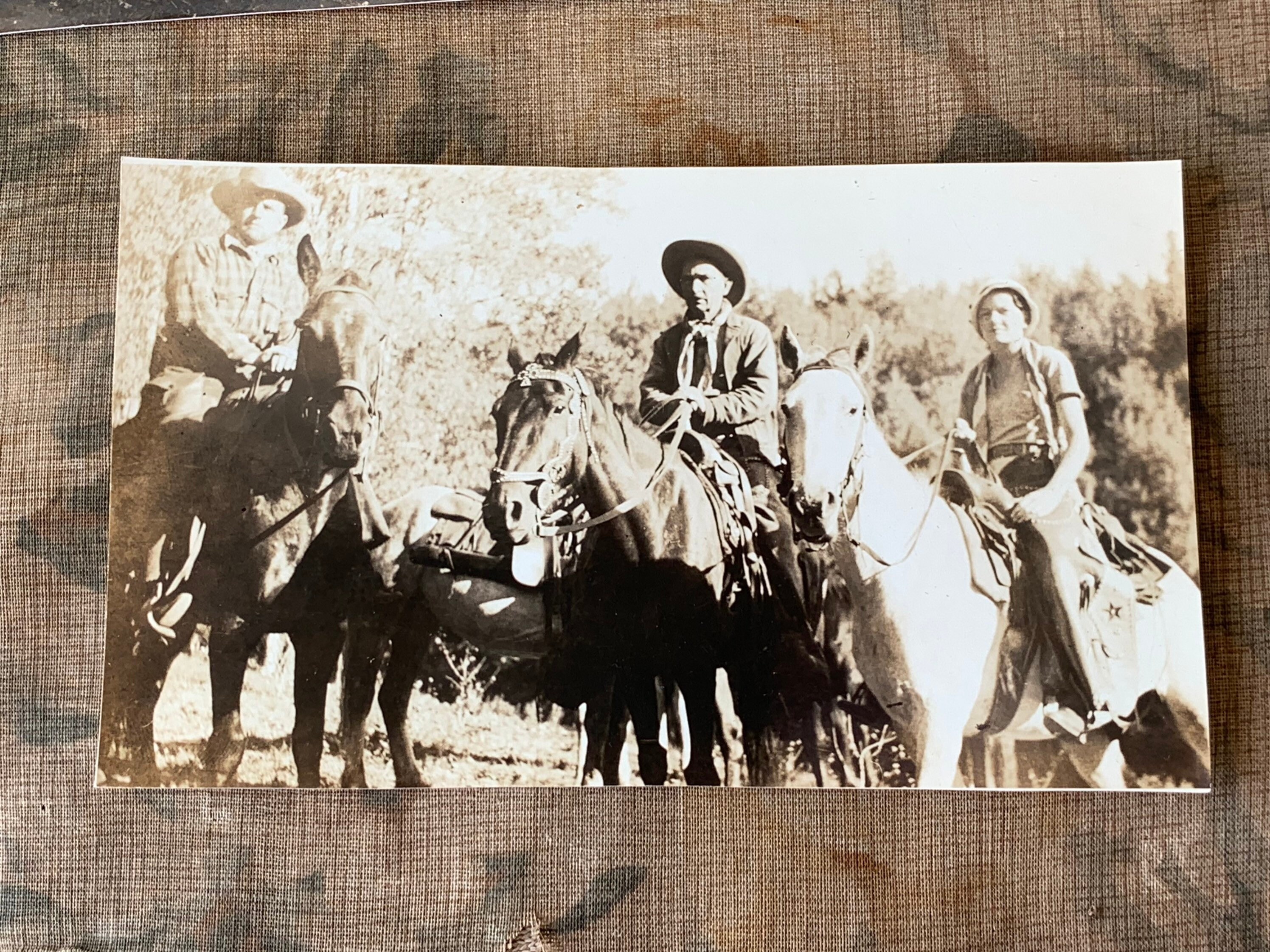 Vintage set cowboy photos old ranchers on horsebacks | Etsy
