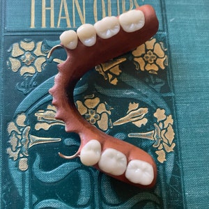Vintage Partial Dentures Old False Teeth Used Worn Creepy Fake Teeth ...