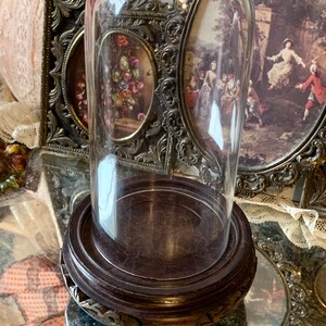 Vintage Small Glass Display Dome With Wood Carved Base Curiosity Cloche ...