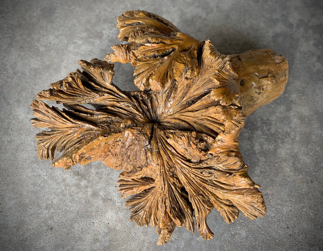 Vintage Burl Wood Statue Branch Sculpture Driftwood Nature - Etsy