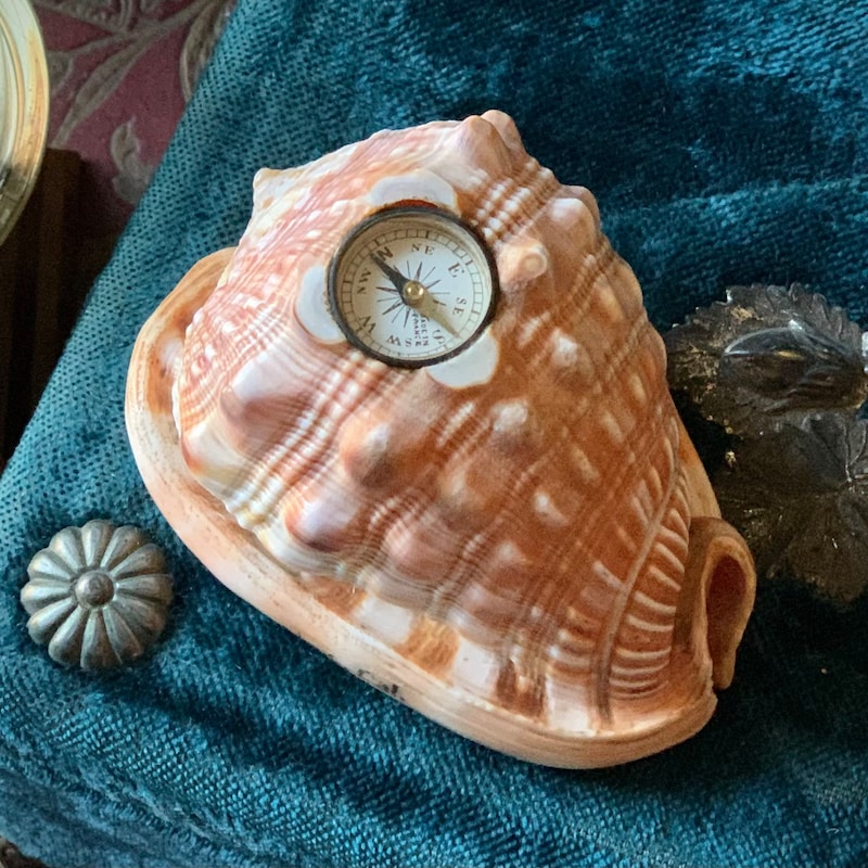 Shell Souvenirs - Etsy