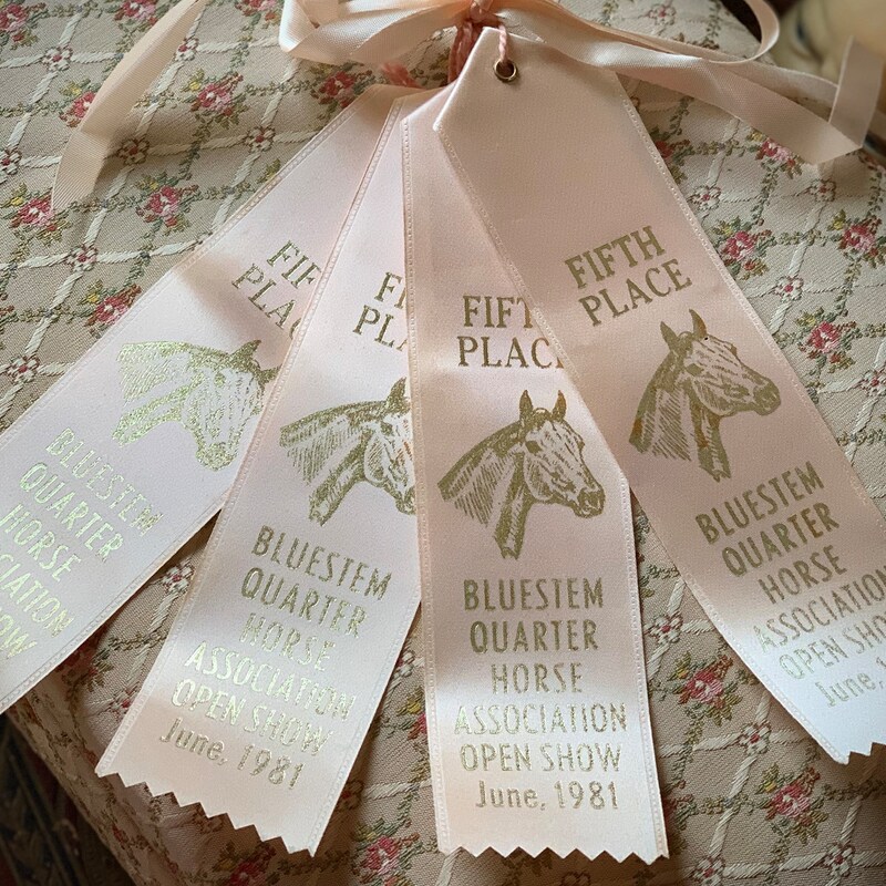 Horse Show Ribbons - Etsy
