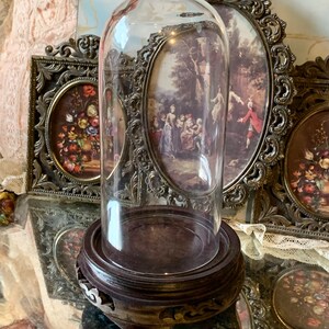 Vintage Small Glass Display Dome With Wood Carved Base Curiosity Cloche ...