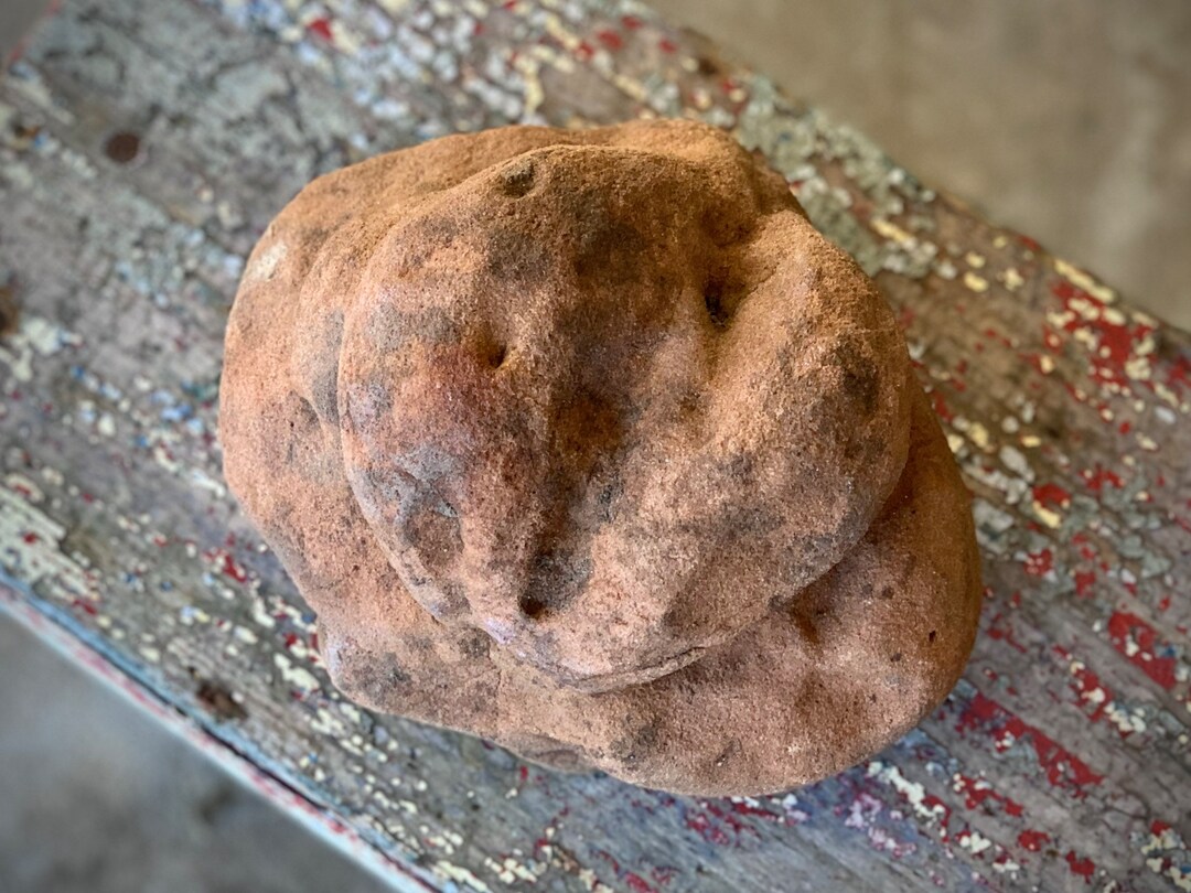 Natural Barite Rose Rock Large Specimen Oklahoma State Rock Weathered ...