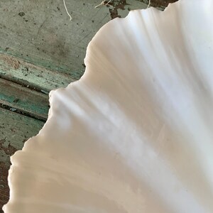 Vintage Real Clam Shell Natural Specimen Ruffled Seashell Dish Bowl 13 ...