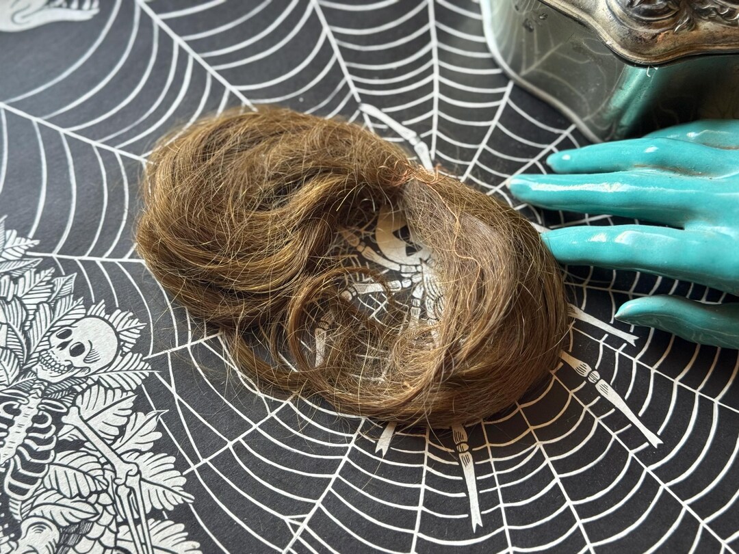 Vintage Real Hair Cut Strand Oddity Curiosity Display - Etsy