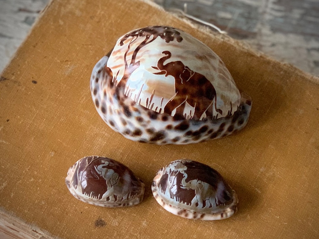 Vintage Set Carved Seashells Figural Animals Real Shell Specimens Lot ...