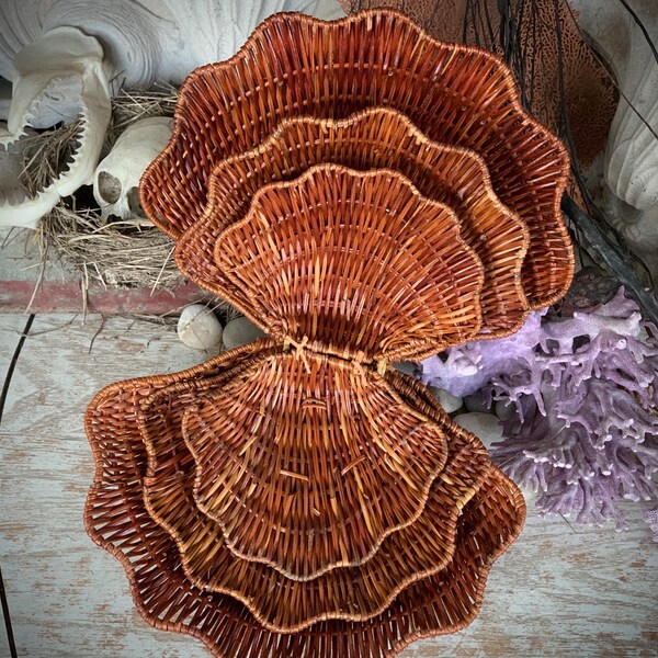 Clam Shell Box - Etsy