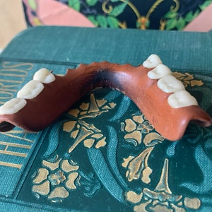 Vintage Partial Dentures Old False Teeth Used Worn Creepy Fake Teeth ...