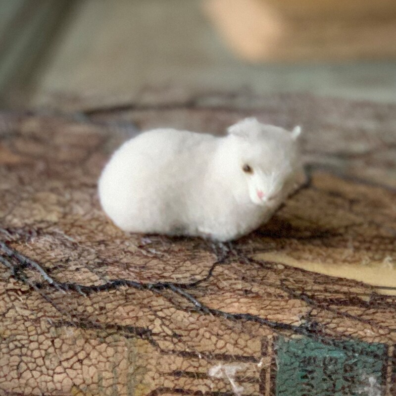 Miniature Sheep - Etsy