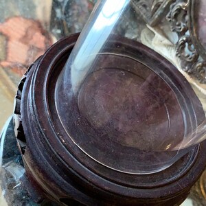 Vintage Small Glass Display Dome With Wood Carved Base Curiosity Cloche ...