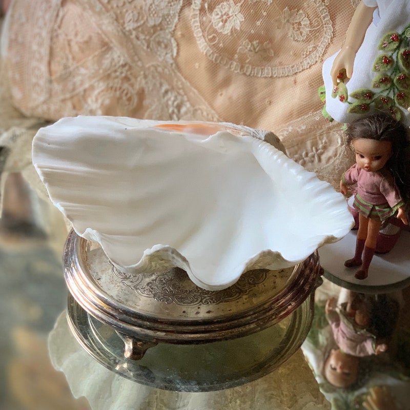 Clam Shell Bowl - Etsy