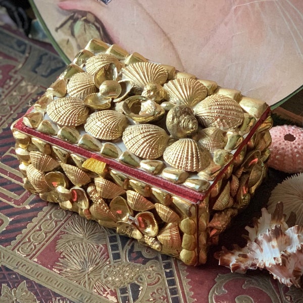 Shell Box - Etsy