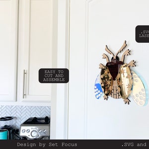 BUG INSECT Wall Decor | WALL Decor Frame | Bug Home Decor Collection ...