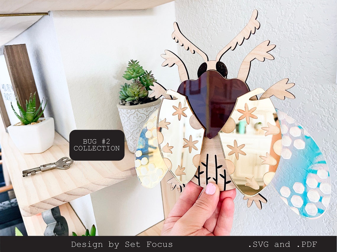 BUG INSECT Wall Decor WALL Decor Frame Bug Home Decor | Etsy