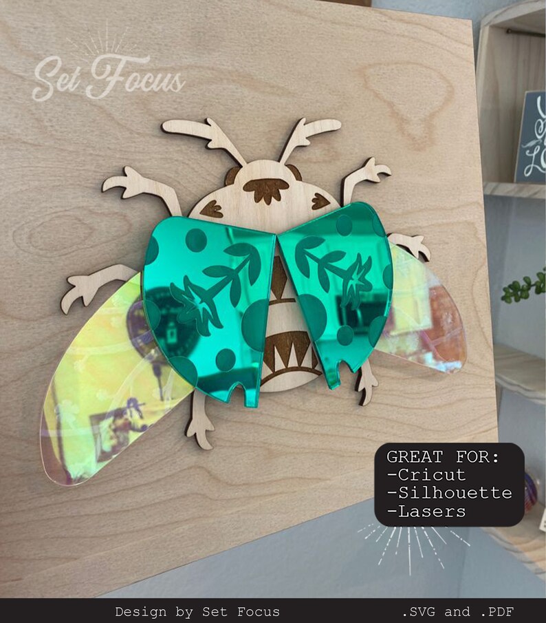 MIRROR Acrylic BUG Wall Decor / WALL Decor Frame / Bug Home - Etsy