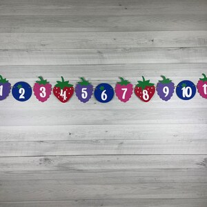 BERRY First Year Banner - Mixed Berry Monthly Photo Clips - First Year ...