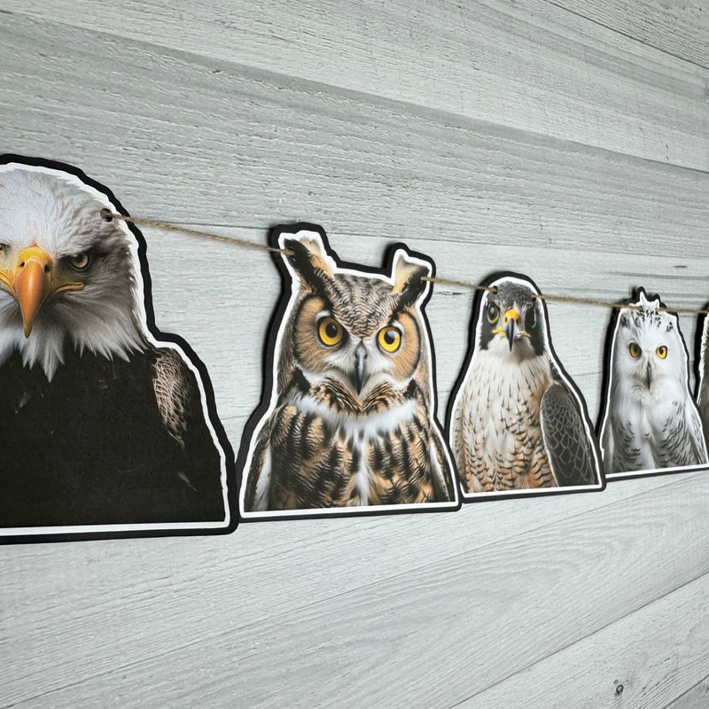 Bird Banner - Etsy