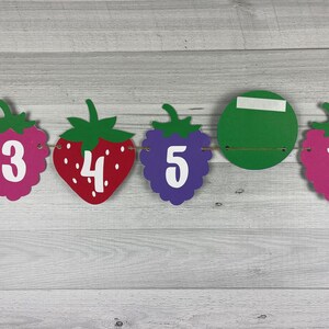 BERRY First Year Banner - Mixed Berry Monthly Photo Clips - First Year ...