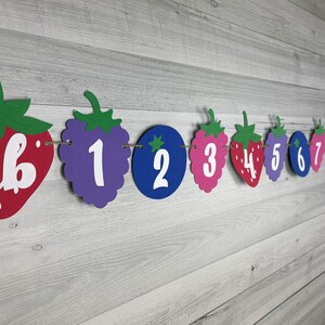 BERRY First Year Banner - Mixed Berry Monthly Photo Clips - First Year ...