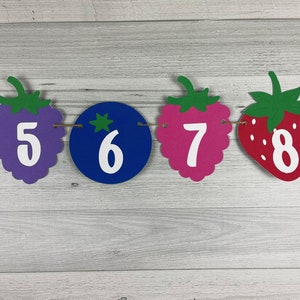 BERRY First Year Banner - Mixed Berry Monthly Photo Clips - First Year ...