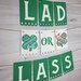 LAD or LASS Gender Reveal Banner Gender Reveal Baby Shower Clover ...