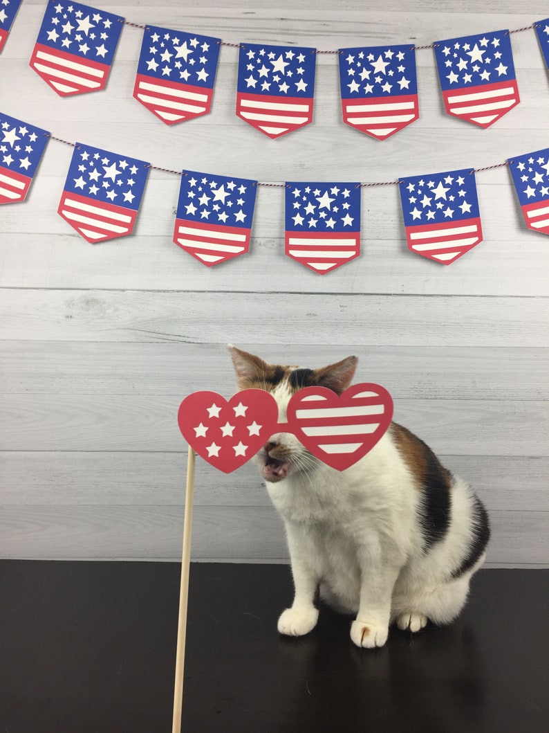 4th of July Photo Props America Photo Props Photobooth | Etsy