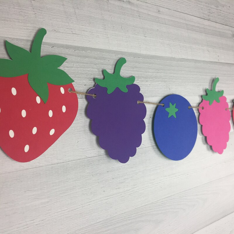 Raspberry Decor - Etsy