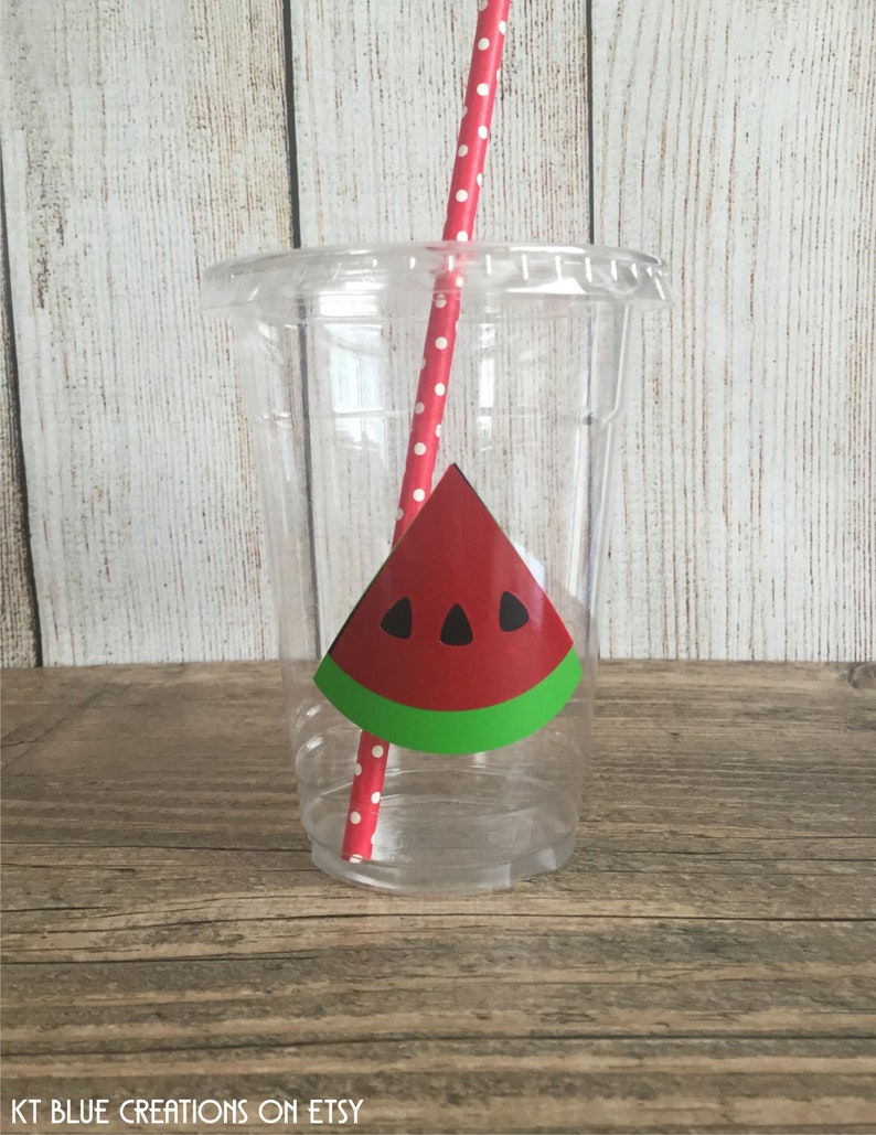 Watermelon Party Cups - One in a Melon Birthday - Disposable Cups W ...