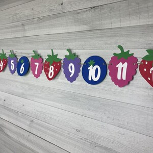 BERRY First Year Banner - Mixed Berry Monthly Photo Clips - First Year ...