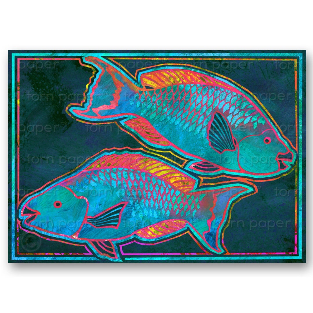 PARROT FISH the Wonders of Nature Collection Blank Inside 5x7 Collage ...