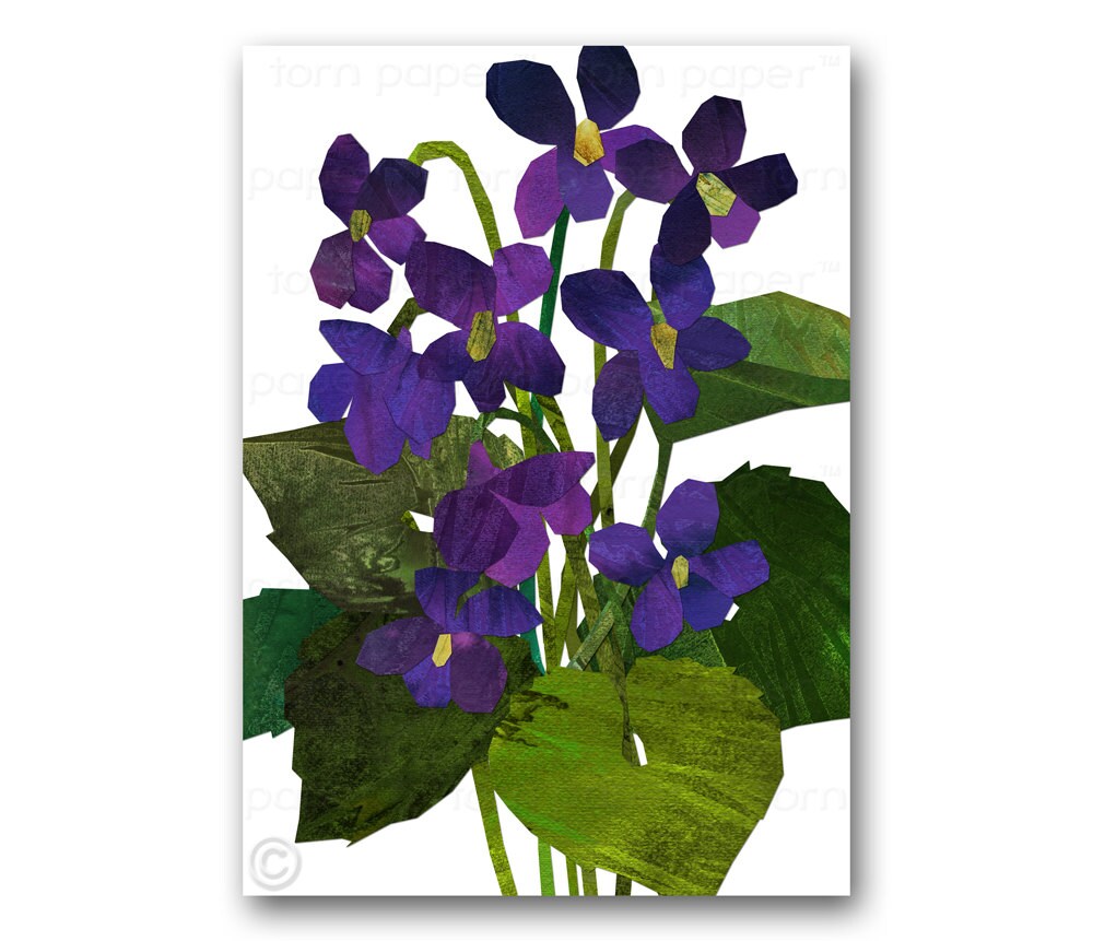 VIOLETS - Blank Greeting Card - 5"x7" Springtime Flowers - Also ...