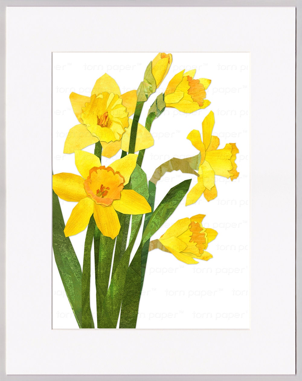 DAFFODILS Blank Greeting Card 5x7 Springtime Flowers Also Available as ...