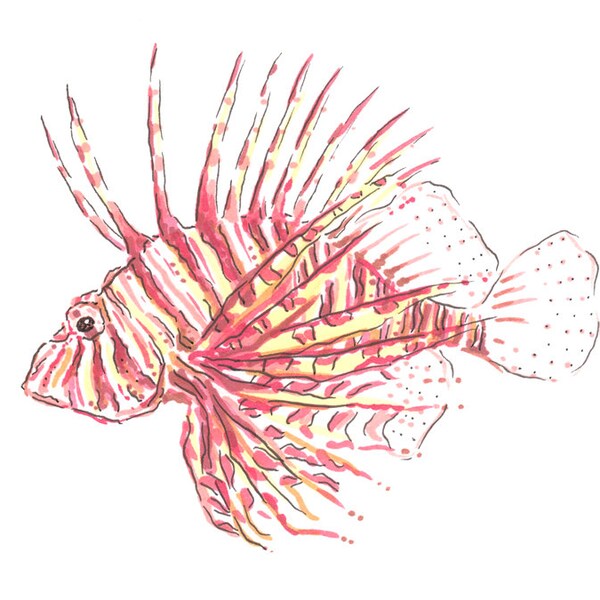 Lionfish - Etsy
