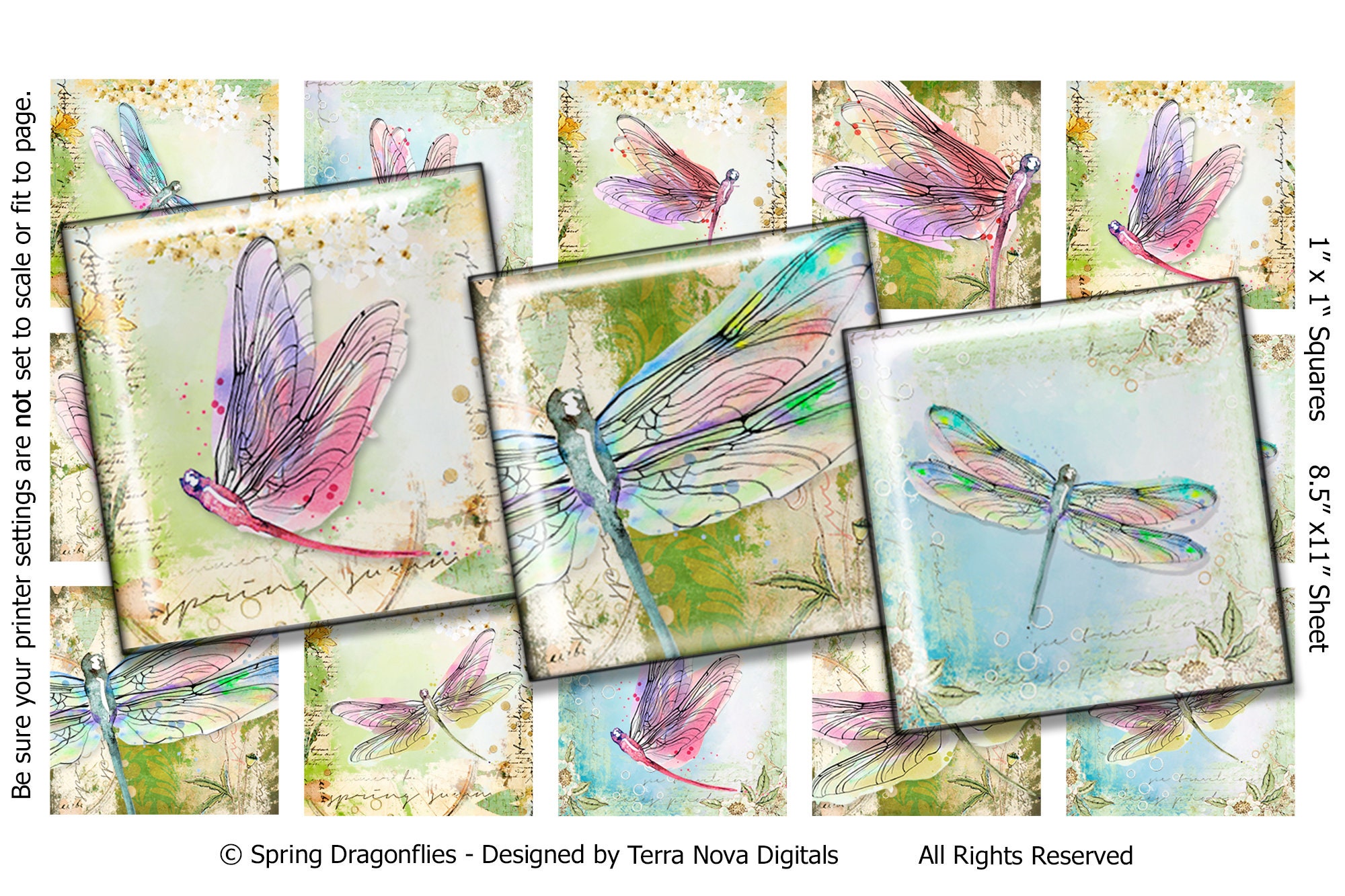 Spring Dragonflies Digital Collage Sheet One Inch Squares for Pendants ...