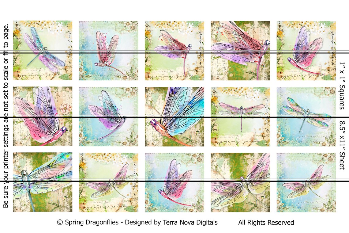 Spring Dragonflies Digital Collage Sheet One Inch Squares for Pendants ...