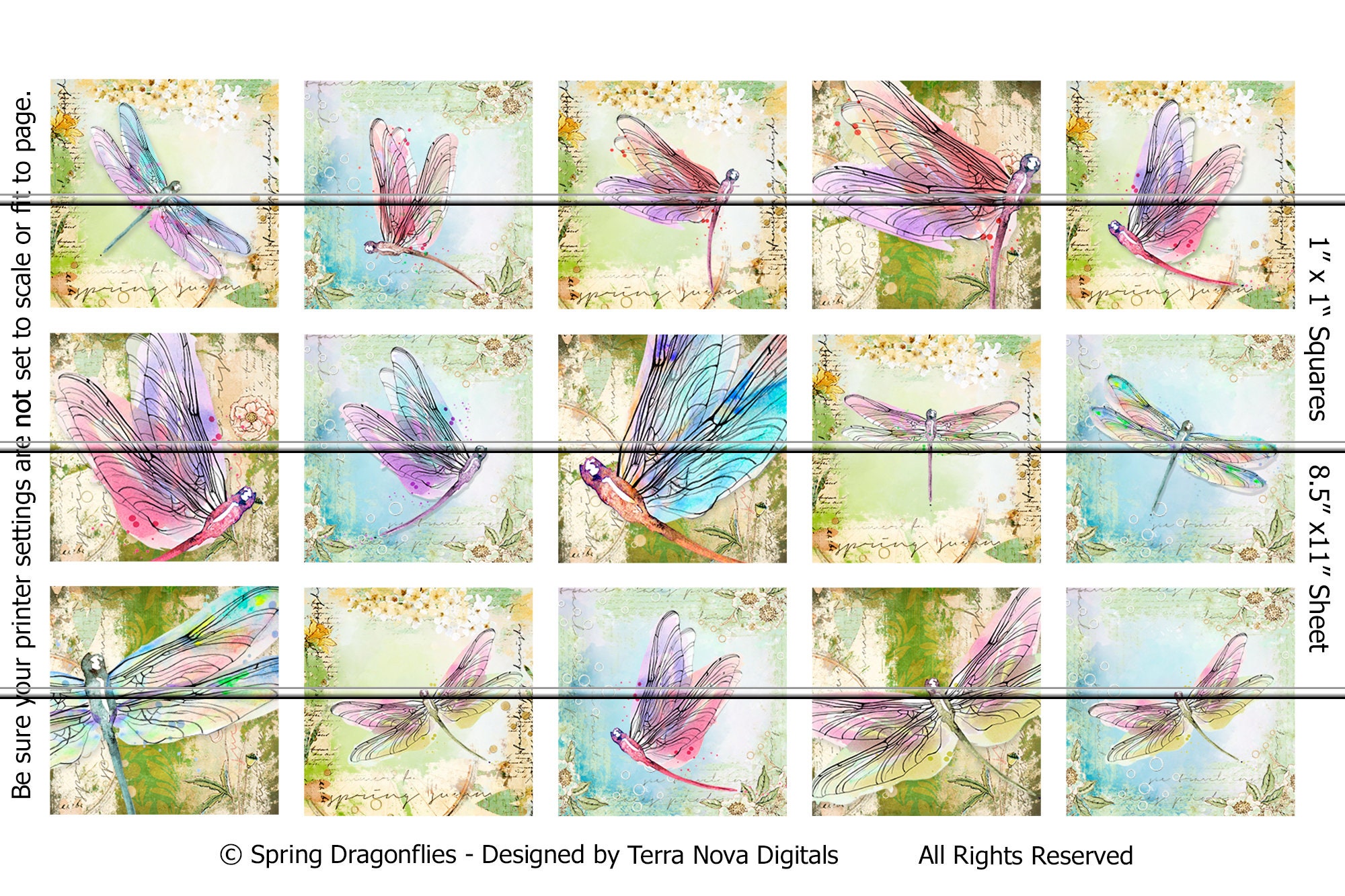 Spring Dragonflies Digital Collage Sheet One Inch Squares for Pendants ...
